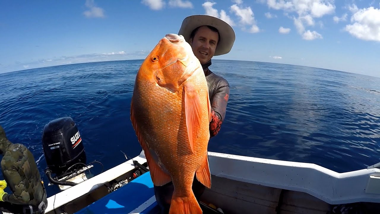 14 KG RED EMPEROR & REDS GALORE!!! - Ultimate Reef Trip Part 2 - YouTube
