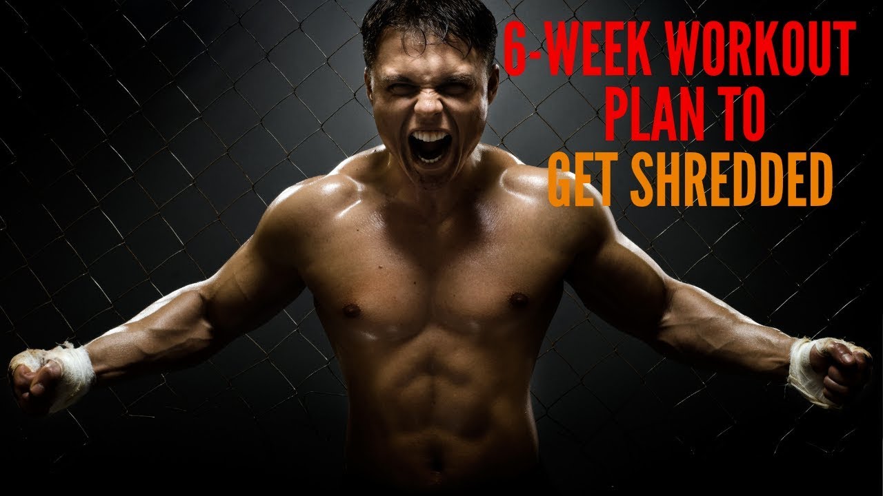 6 Week Shred - 6 Weeks Workout Plan. - YouTube