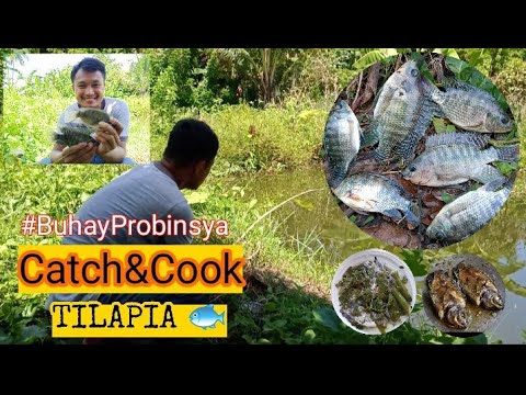 Fish Hunting||Tilapia Fish||Catch &Cook by Bahag Adventure - YouTube