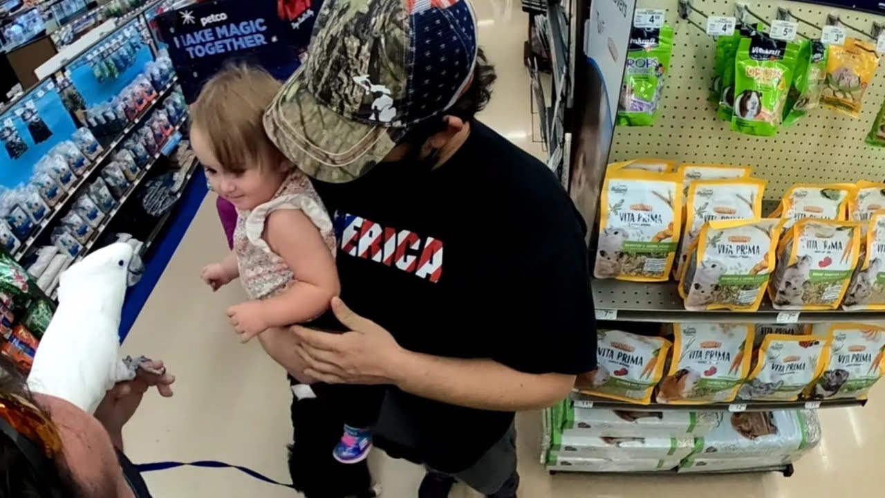 Cockatoo ATTACKS Kids! - YouTube
