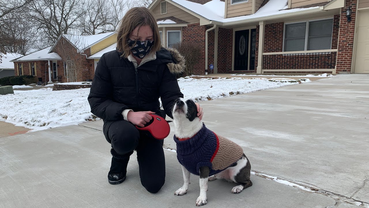 McCune Family Adopts New Dog Banner During COVID-19 - YouTube