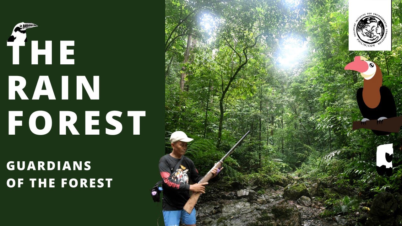 Guardians of the Forest [Movie 2021] - YouTube