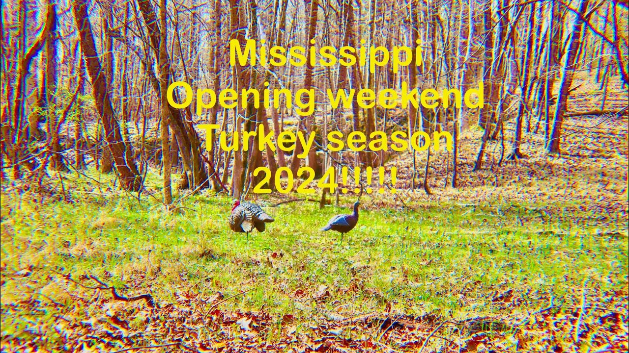 Open weekend MS turkey season 2024!!!!!! - YouTube