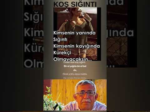 KOŞ SIĞINTI 2