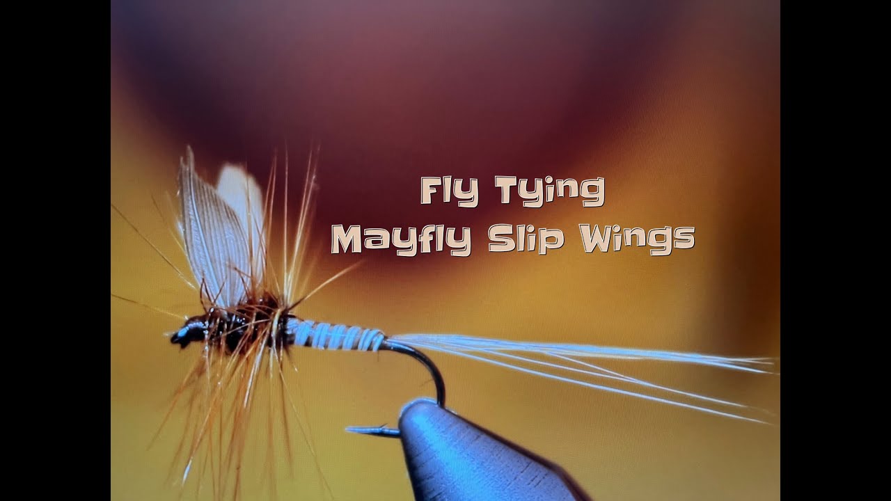 Fly Tying Mayfly Slip Wings with GM FLY - YouTube
