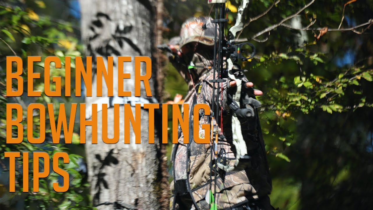 Become A Better Deer Hunter With These Beginner Bowhunting Tips - YouTube