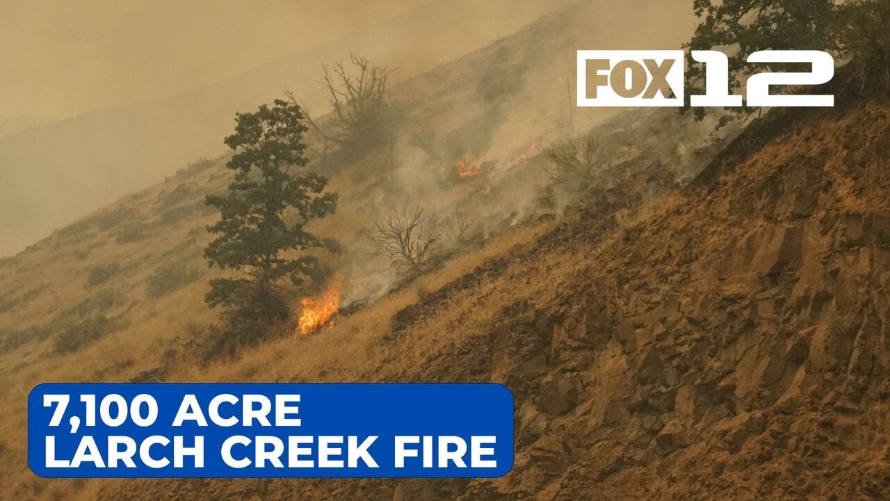 Larch Creek Fire in Wasco Co. jumps to 7K acres overnight; evacuation ...