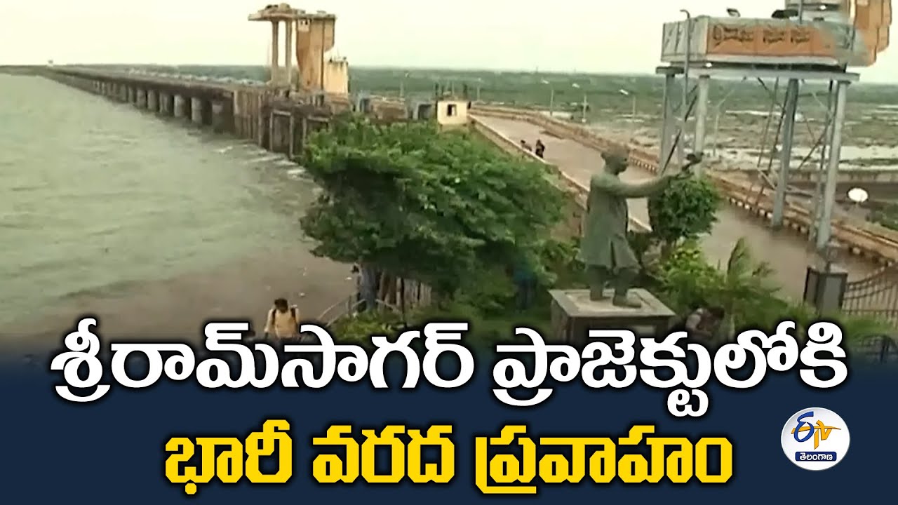 Massive Inflow to Sriram Sagar Project Continues | శ్రీరామ్‍సాగర్ ...