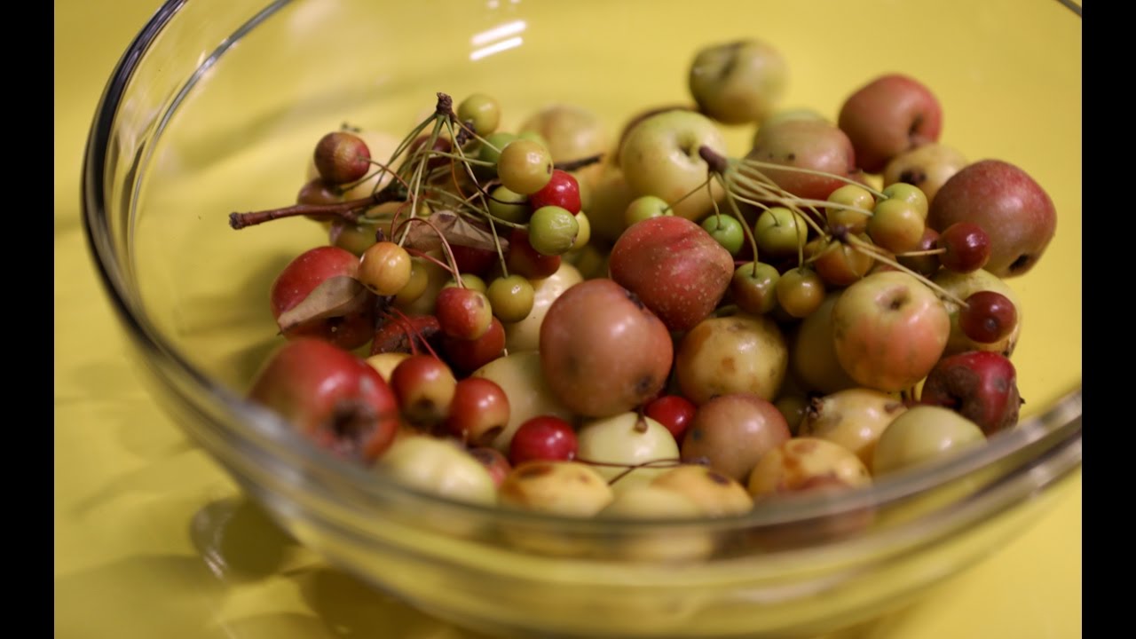 412 Food Rescue Makes Crabapple Sauce - YouTube