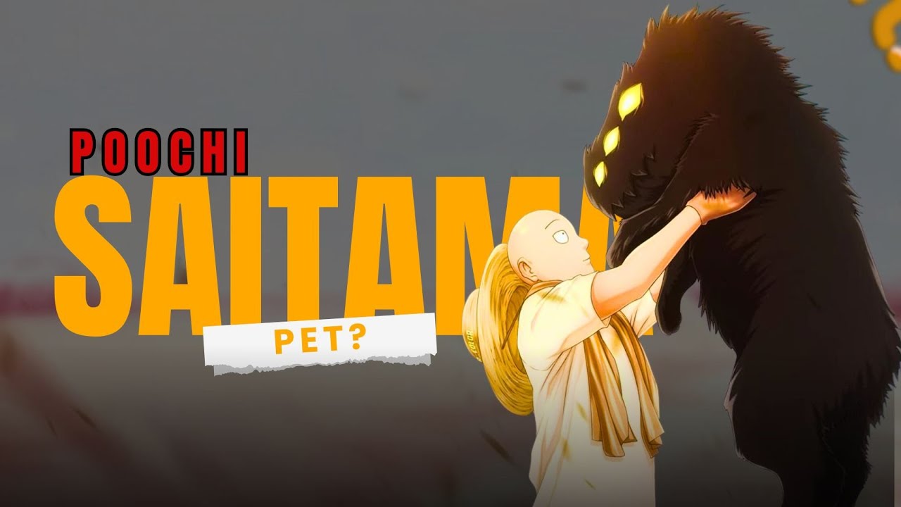 Why Saitama Adopted a Monster | The Story of Pochi in One Punch Man ...