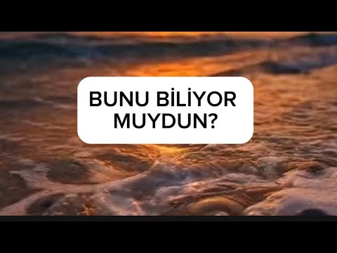 Belki de Kurtuluşun Bu Kadar Basit…