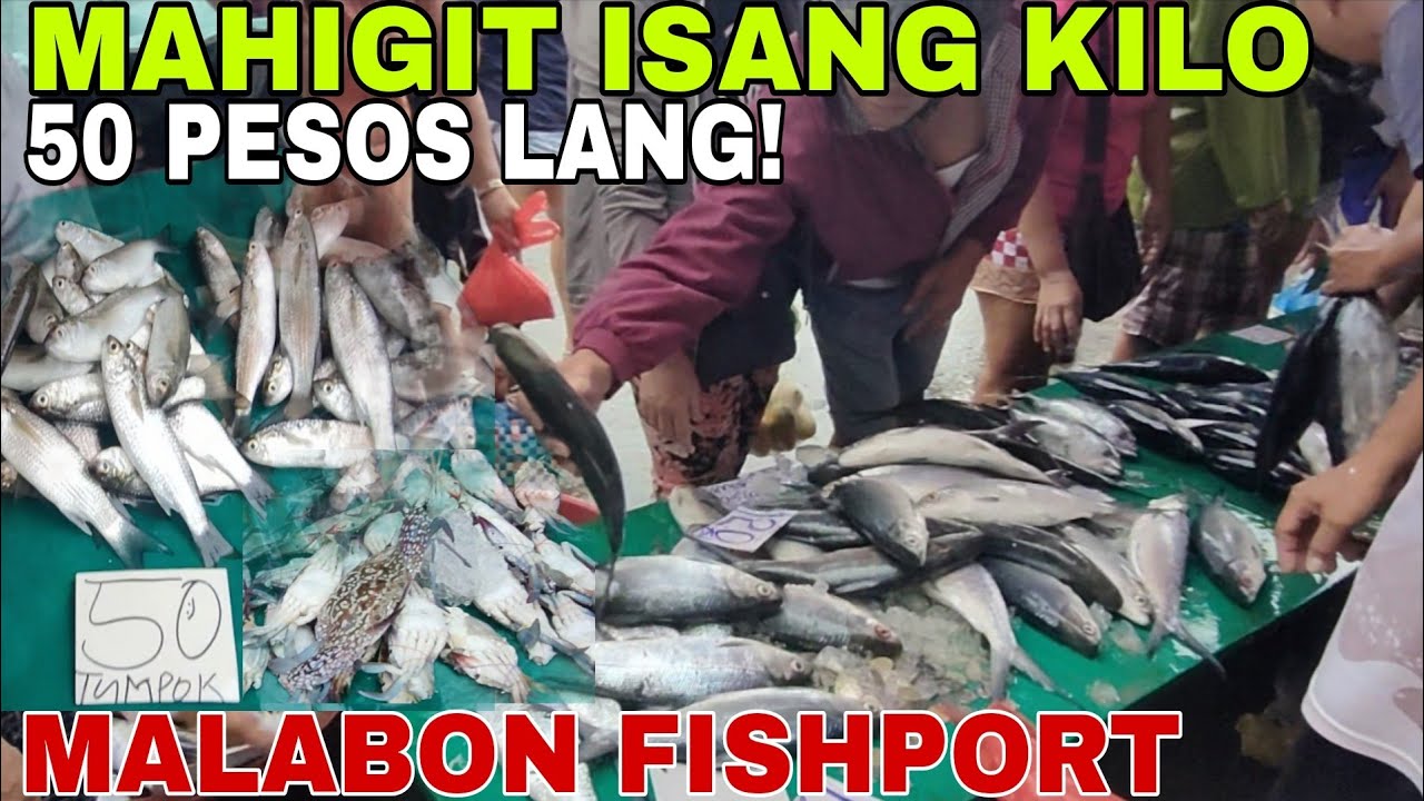 EPS 224 MAHIGIT ISANG KILO FIFTY PESOS LANG|MALABON FISHPORT - YouTube