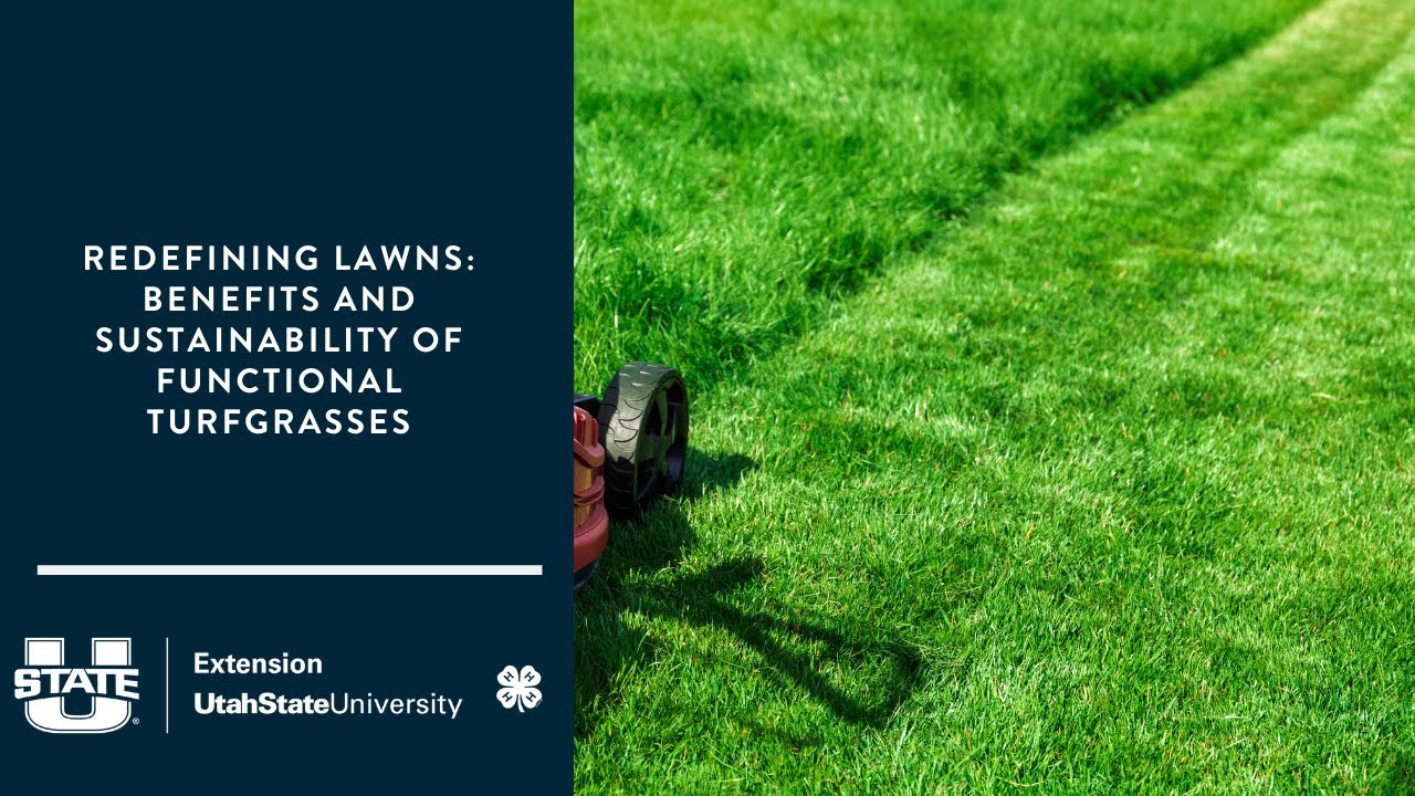 Redefining Lawns: Benefits and Sustainability of Functional Turfgrasses ...