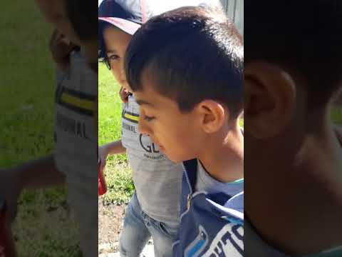 Kucuk bir kışkırtma yaptik ( #1 bidaki kışkırtma icin 15 like)