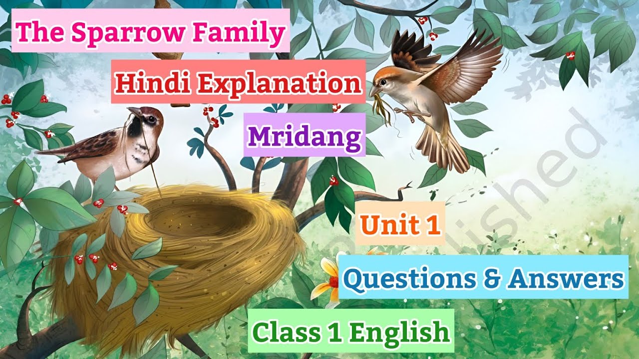 The Sparrow Family | Question & Answer | Class 1 English | Unit 1 ...