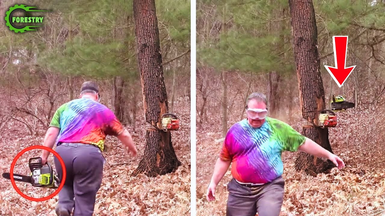 Idiots With Chainsaws: Tree Cutting Fails | Extreme Dangerous Logging ...