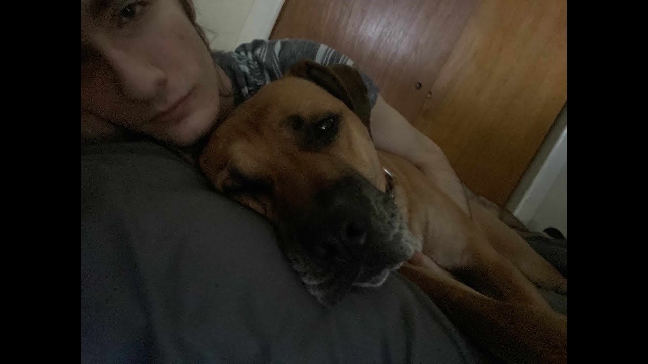 🔴(bad mic 1) greep beep mabeep sheeep real deep no peep - YouTube