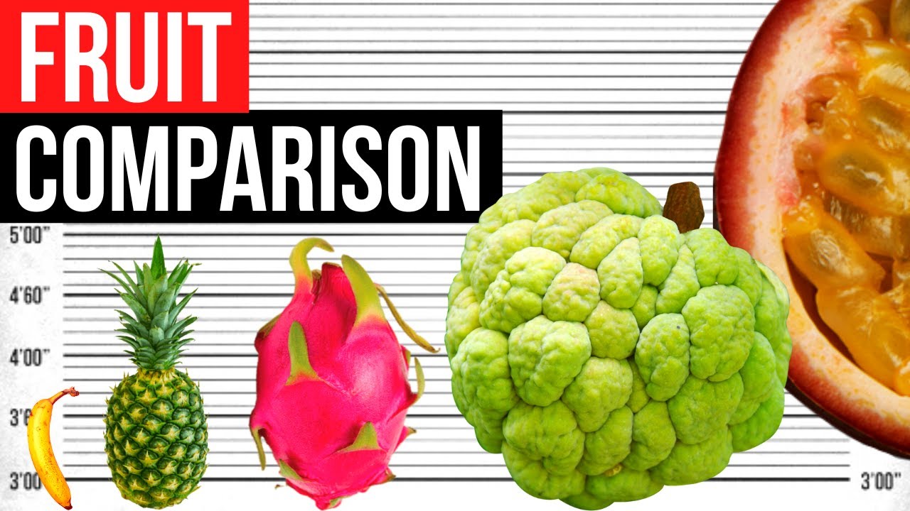 Fruit Size Comparison | Biggest in the World - YouTube