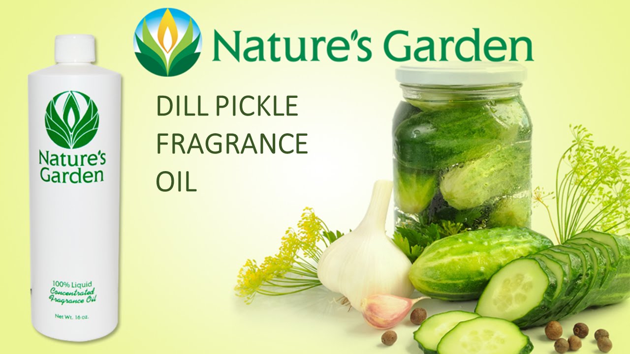 Dill Pickle Fragrance Oil - Natures Garden - YouTube