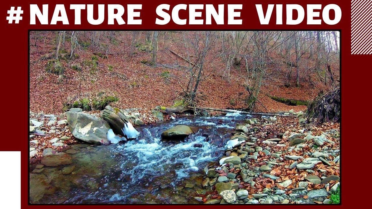 Nature Sounds Relaxing Music Sleep water 4K - 60 👉 Nature Scene Video ...