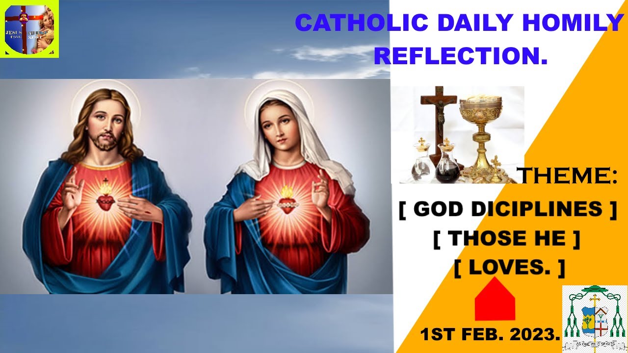 Catholic daily homily reflection for today [ GOD DISCIPLINES THOSE HE ...