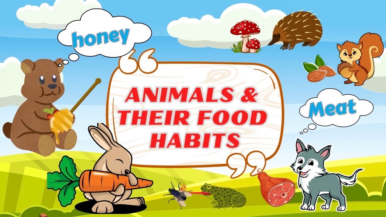 animals and their food habits - learning animal sounds - fun - YouTube