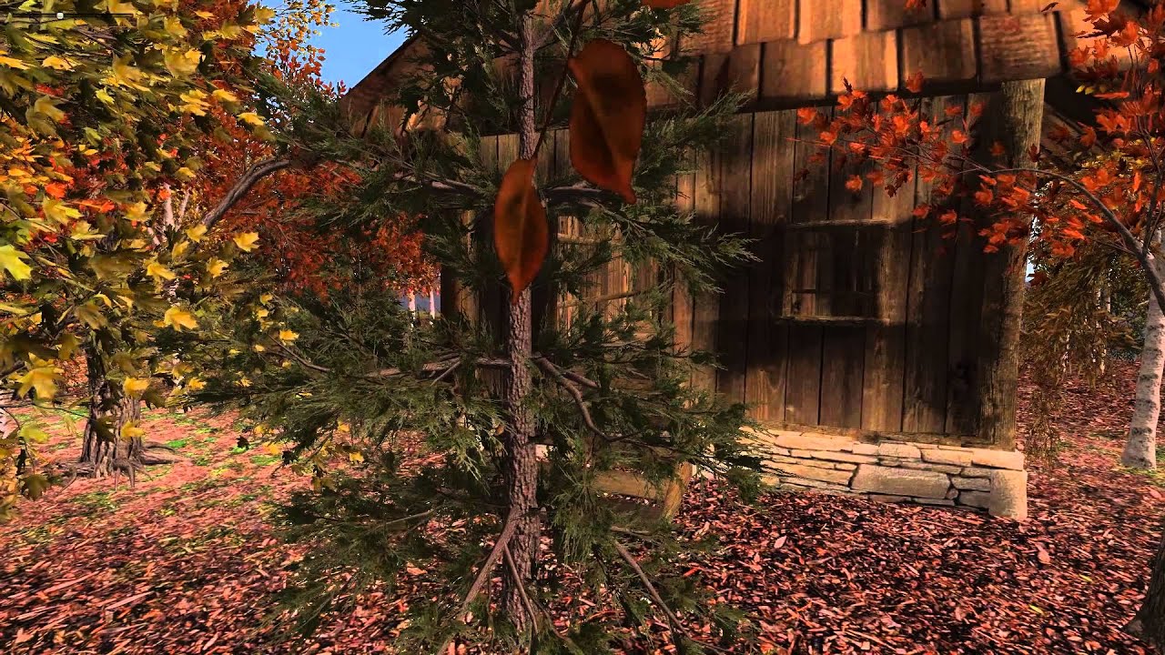 Tree Simulator 2013 Treeloaded YouTube tree-simulator-2013-treeloaded-youtube
