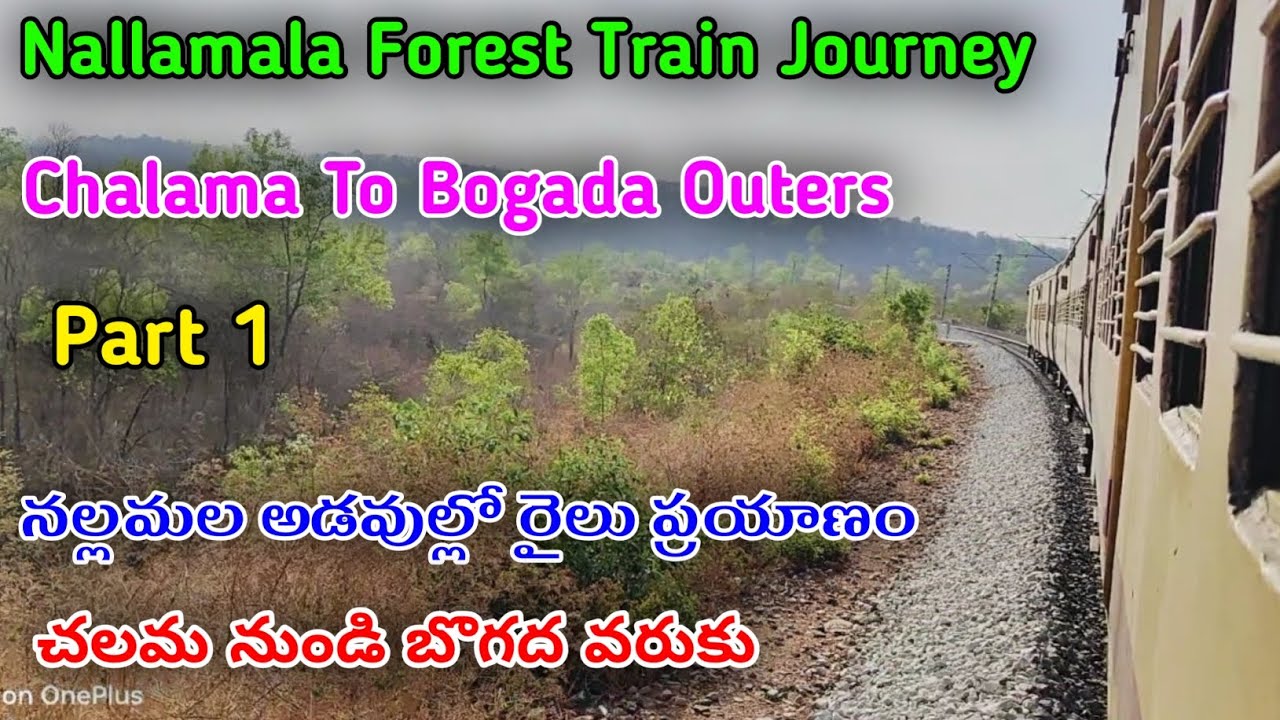 Nandyal To Giddalur Train Journey||Guntur Guntakal Double Line||#guntur ...