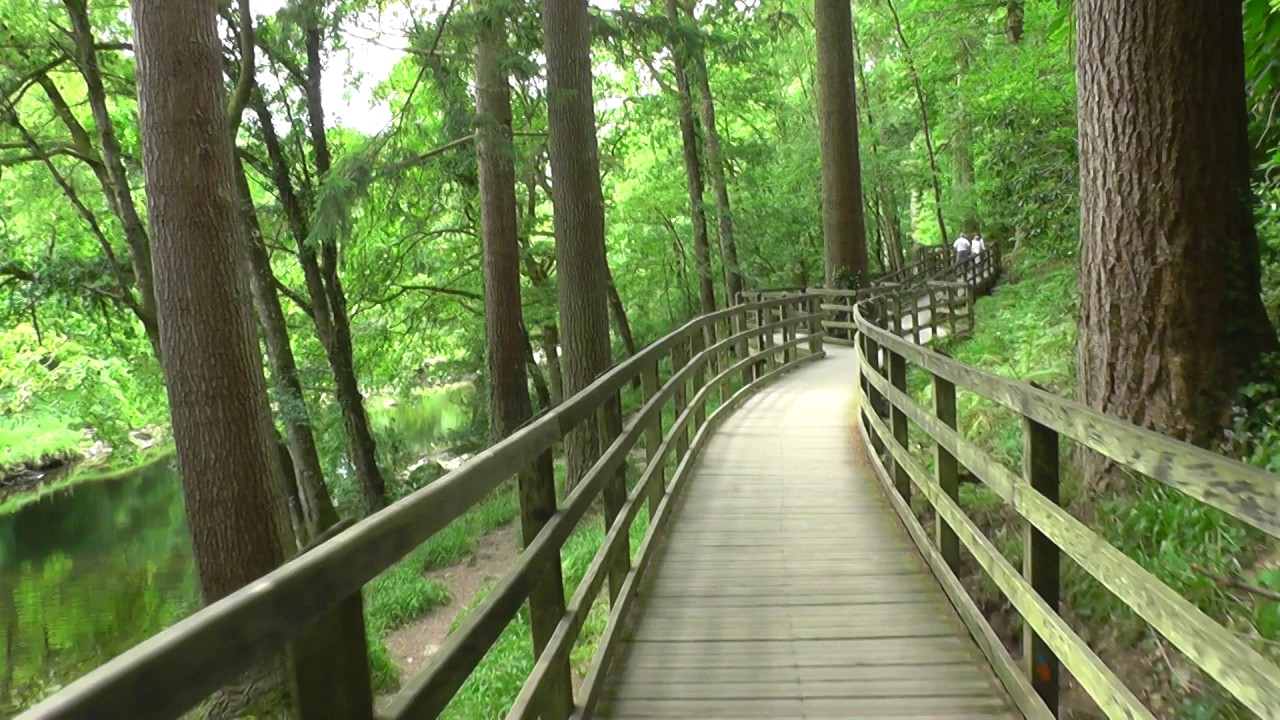 Betws-y-Coed river walk via boardwalk, North Wales - July 2017 - YouTube