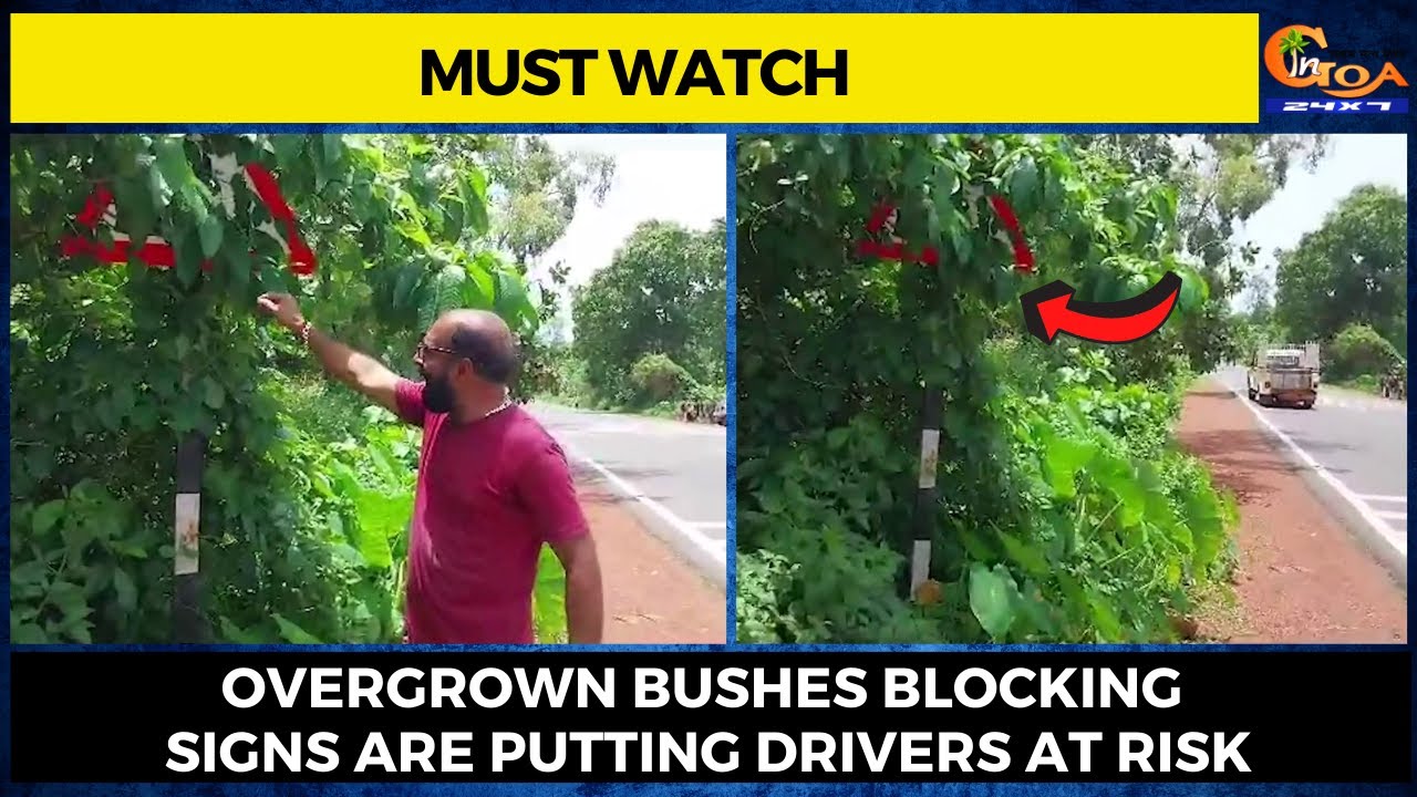 #Must Watch | Overgrown bushes blocking signs are putting drivers at ...