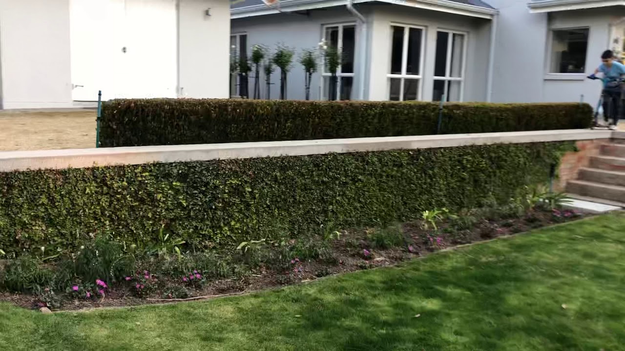 Our backyard mini ramp - YouTube