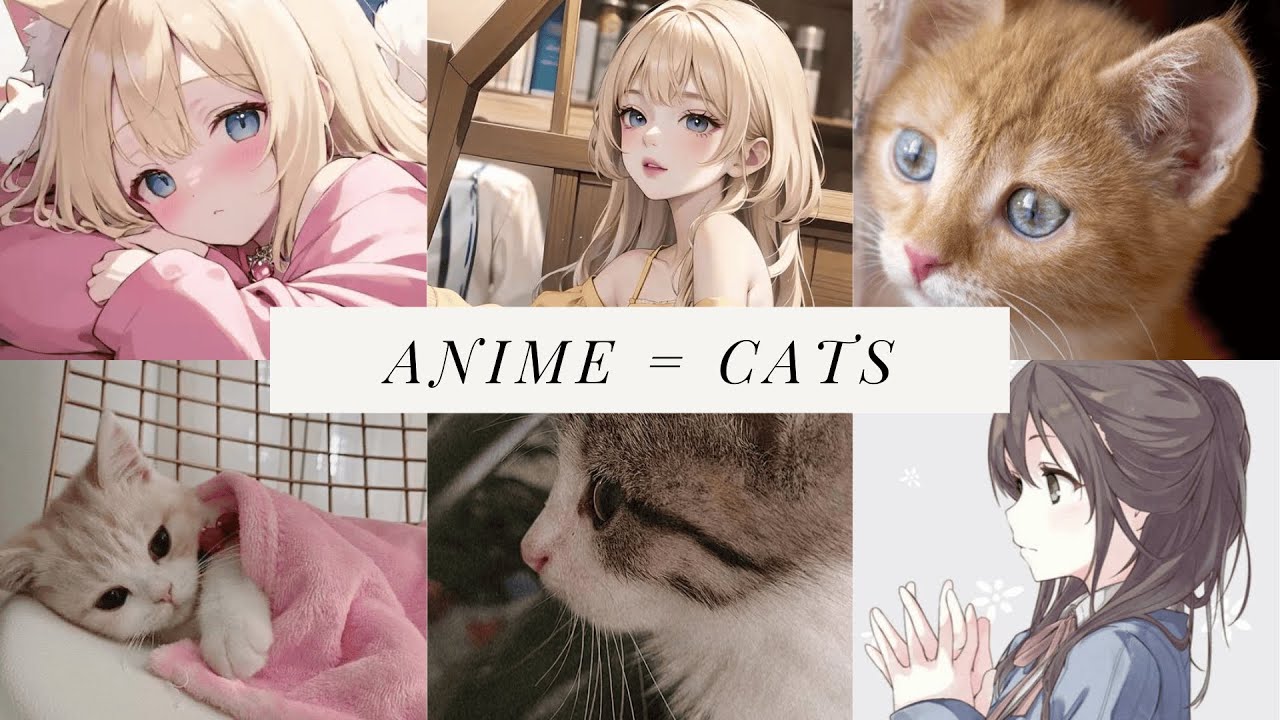 Anime characters are actually …Cats?! 🤯 - YouTube