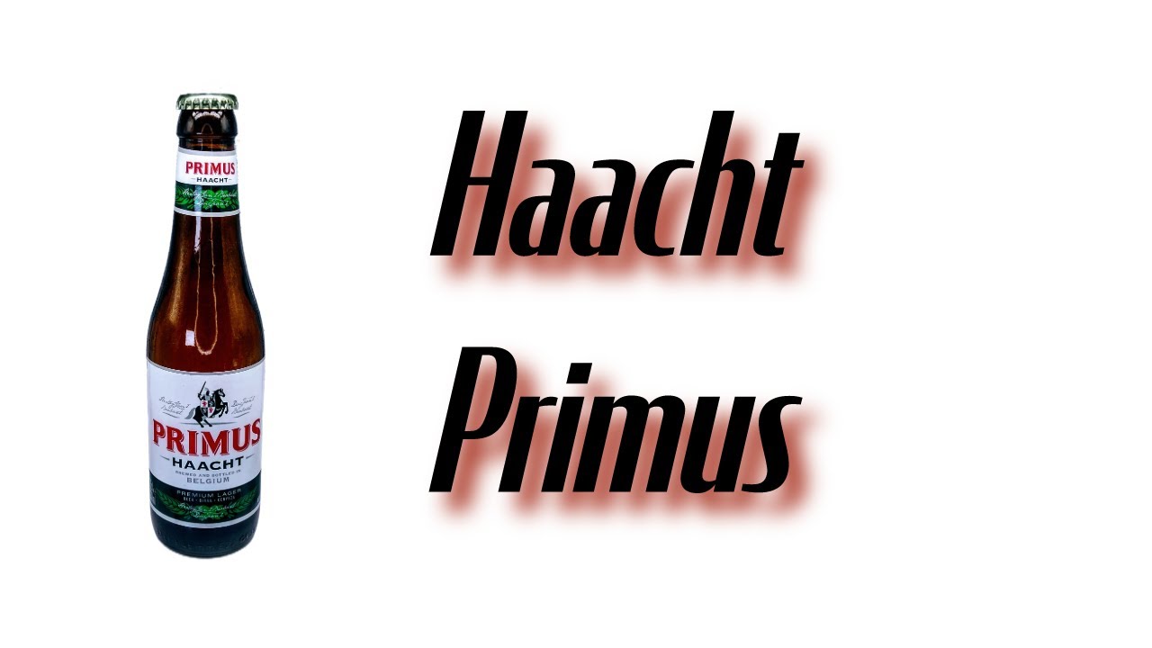 Beer Review №883 - Belgium - Haacht Primus - YouTube