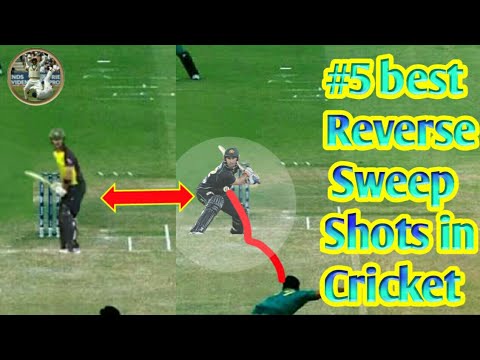 #5 Best Reverse sweep shots || Cricket history || Silly Point - YouTube