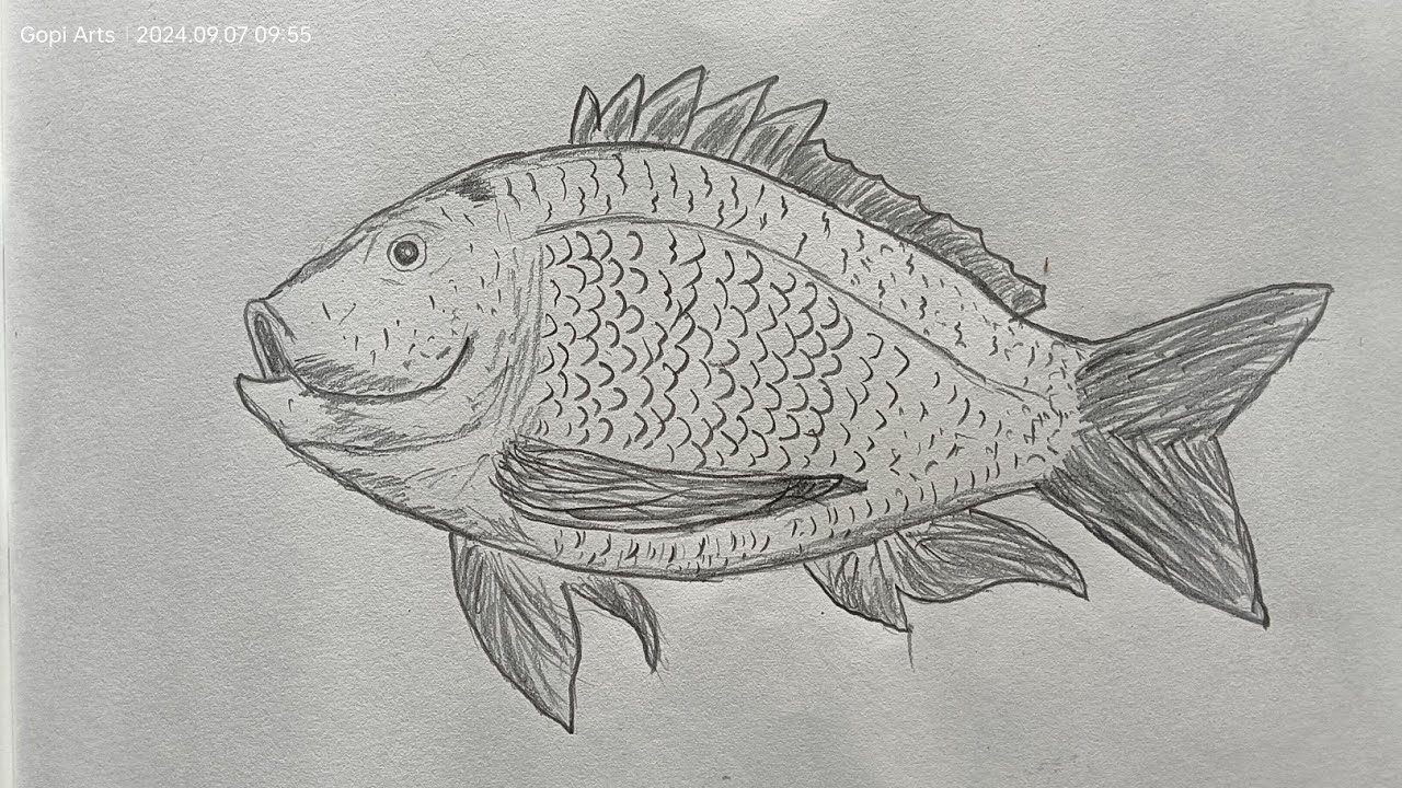 how to draw fish drawing easy step by step@Kids Drawing Talent | ಸುಲಭ ...