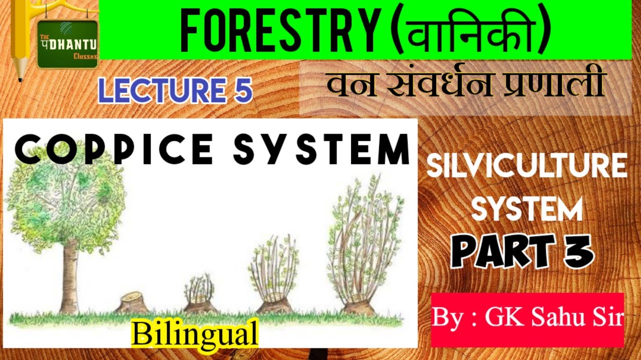 L5_वानिकी Silviculture System part3||Coppice System by GK Sahu Sir ...