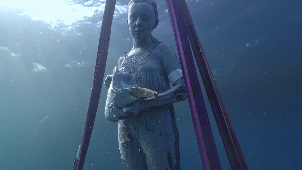 MOUA: The Installation - YouTube