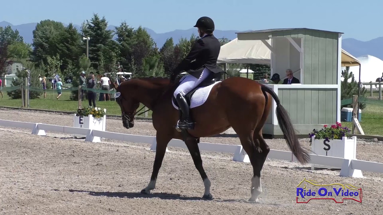 397D Kelly Garbach on Garboso Novice 3-Day Dressage Rebecca Farm July ...