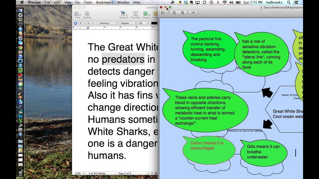 Precise Verbs and Technical words - YouTube