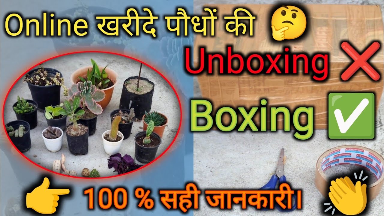 Online Purchase Plants Unboxing Boxing ️ Vedios | Unboxing | Plant Sell ...