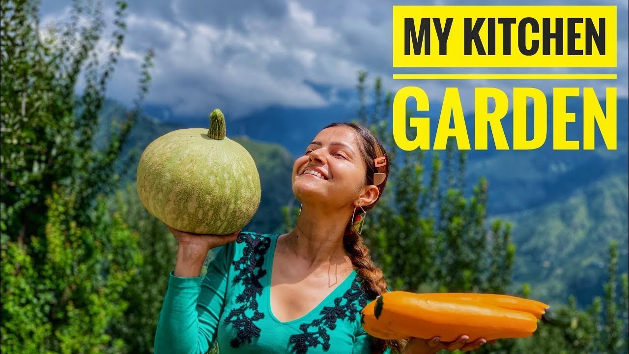 Rubina's kitchen garden || Pahadi lifestyle || #rubinadiliak - YouTube