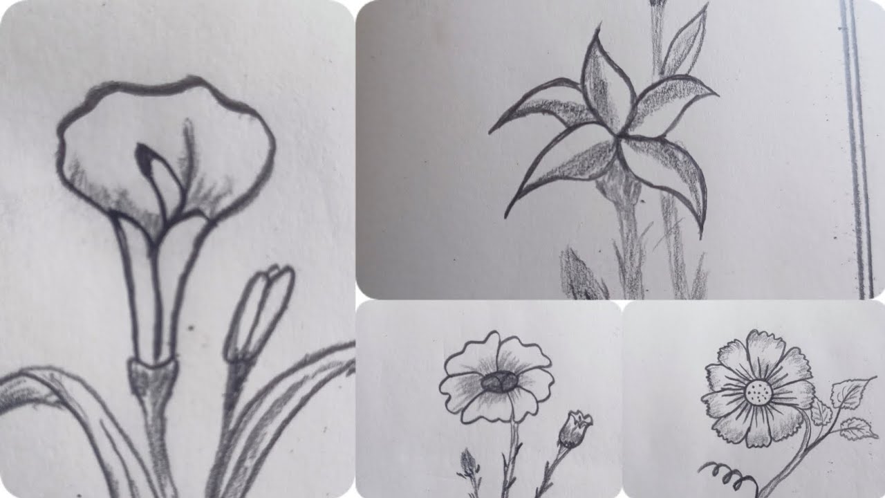 Very Easy And Beautiful 4 Flowers And Art Drawing Tutorials Ideas ...