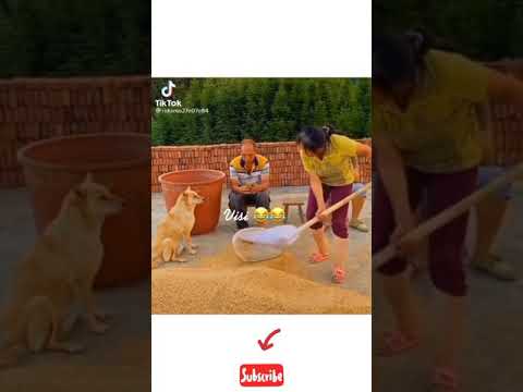 IQ LEVEL 10000%@@SUBSCRIBE MORE VIDEO