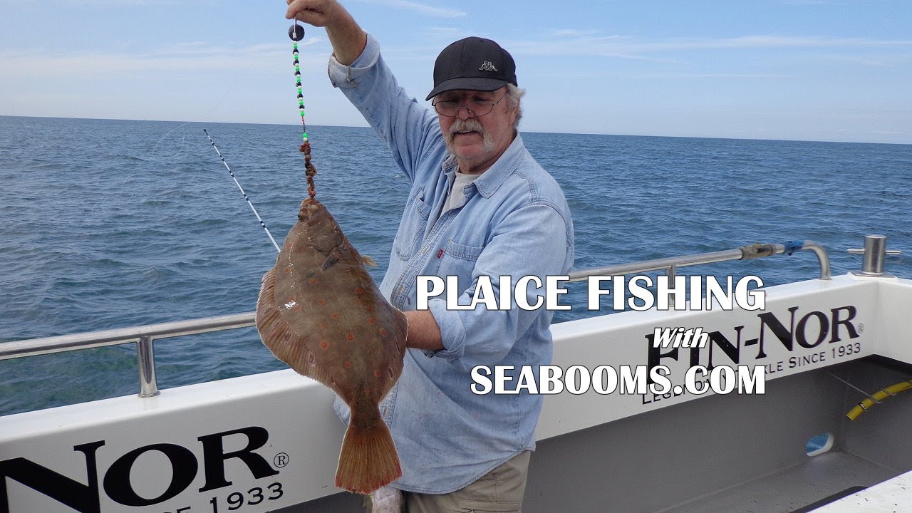 Plaice fishing amazing underwater video that shows how two Plaice can ...
