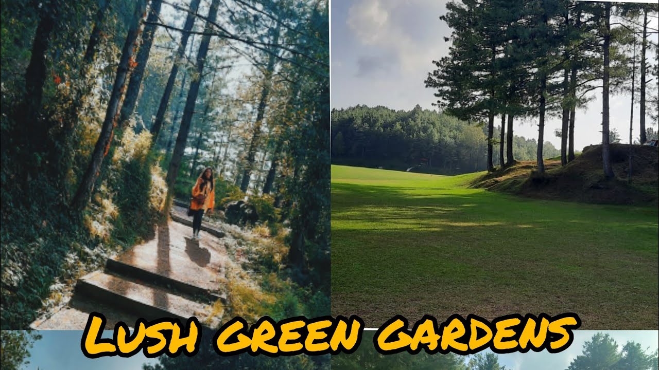 Chinar Golf Club | Bhurban | Murree - YouTube