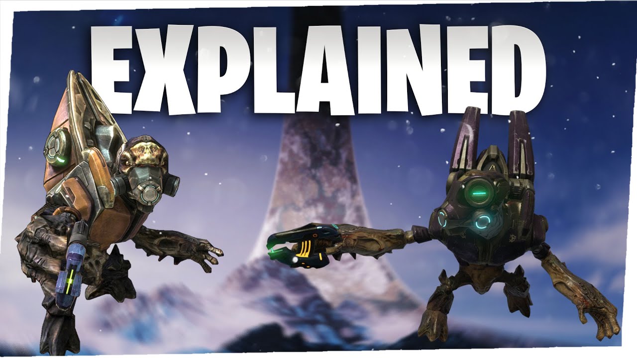 Grunt Ranks Explained Halo Lore YouTube grunt-ranks-explained-halo-lore-youtube