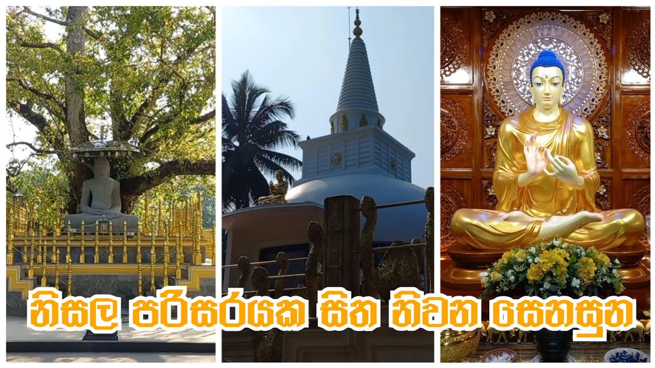 හොරණ මහමෙව්නාව භාවනා අසපුව | Horana Mahamewnawa Buddhist Monastery - YouTube