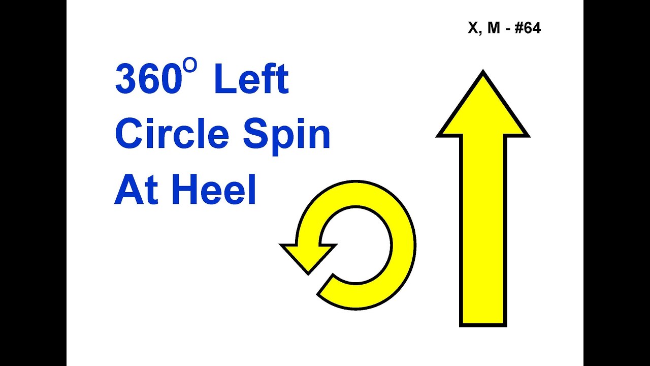 ANKC 2021 Rally Sign #64: Circle Spin at Heel (Excellent) - YouTube