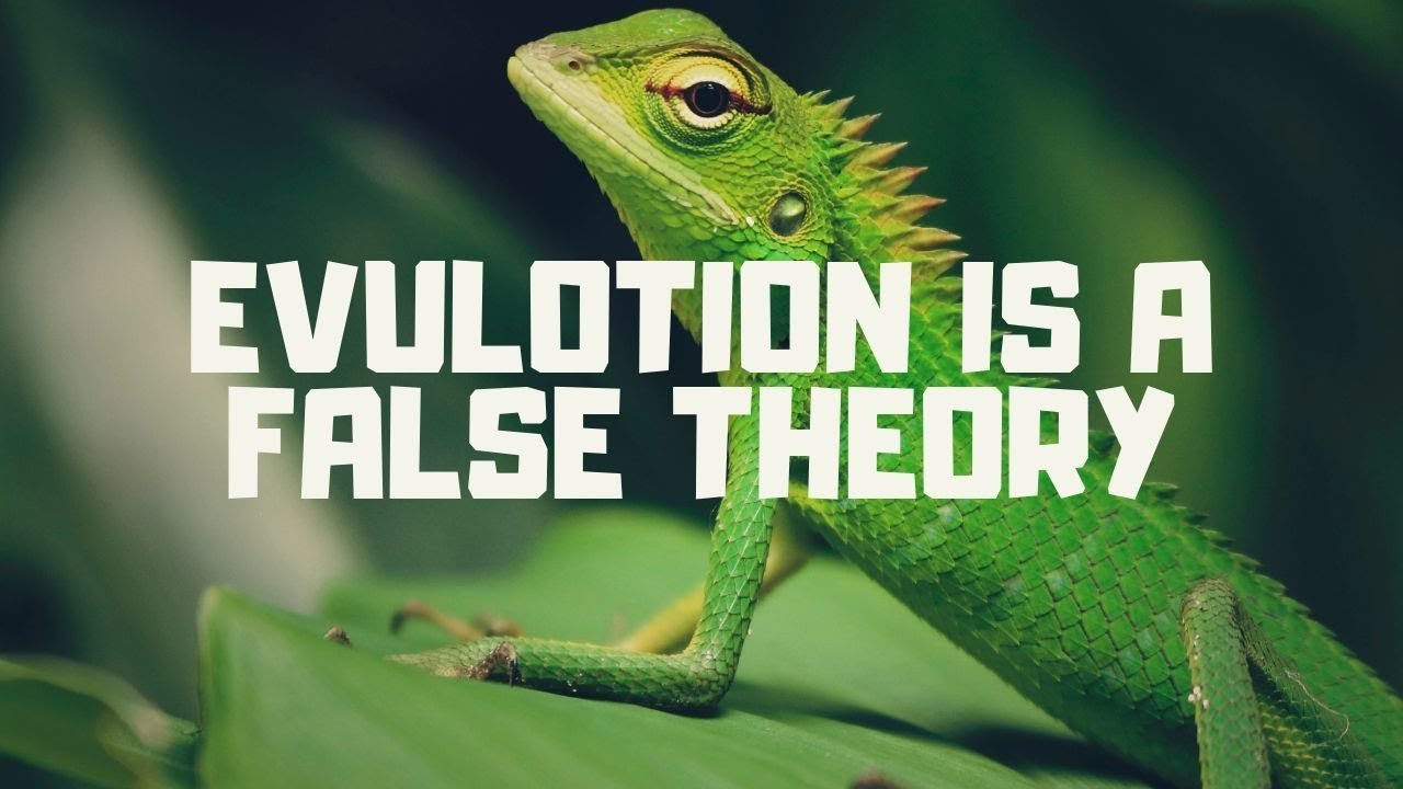 Evolution is a false theory - YouTube