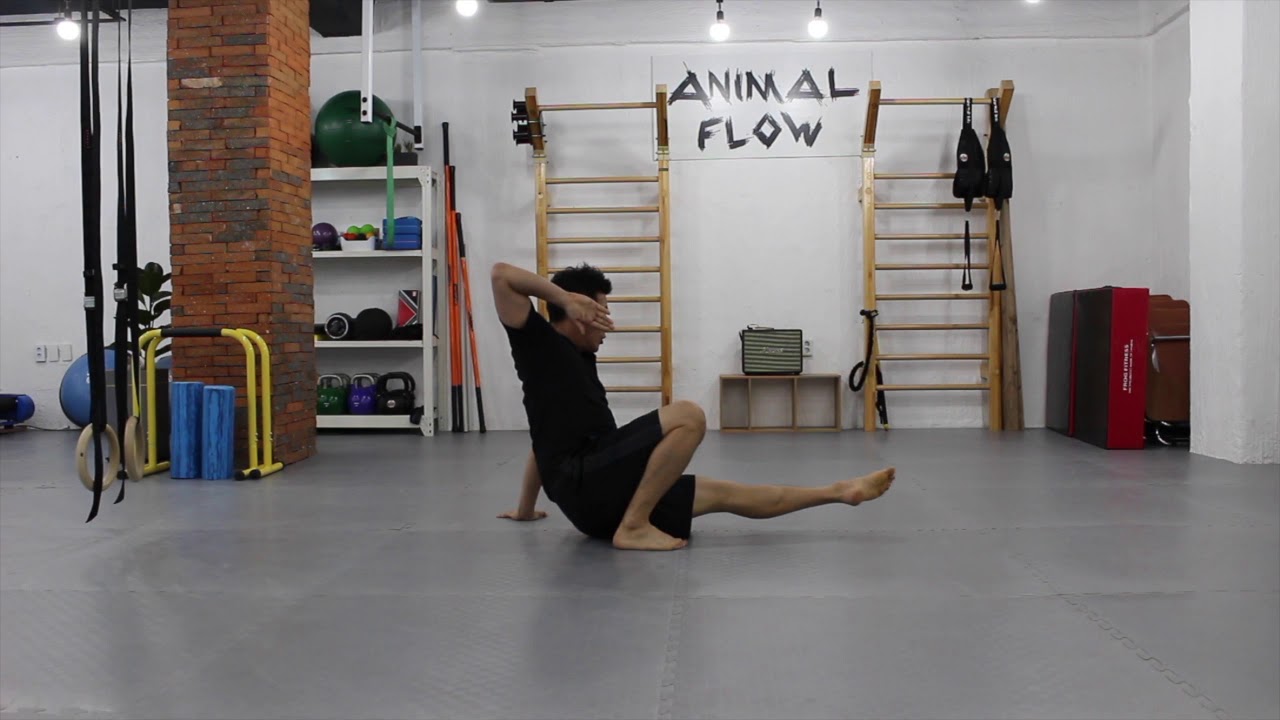 Animal Flow 애니멀플로우 - YouTube